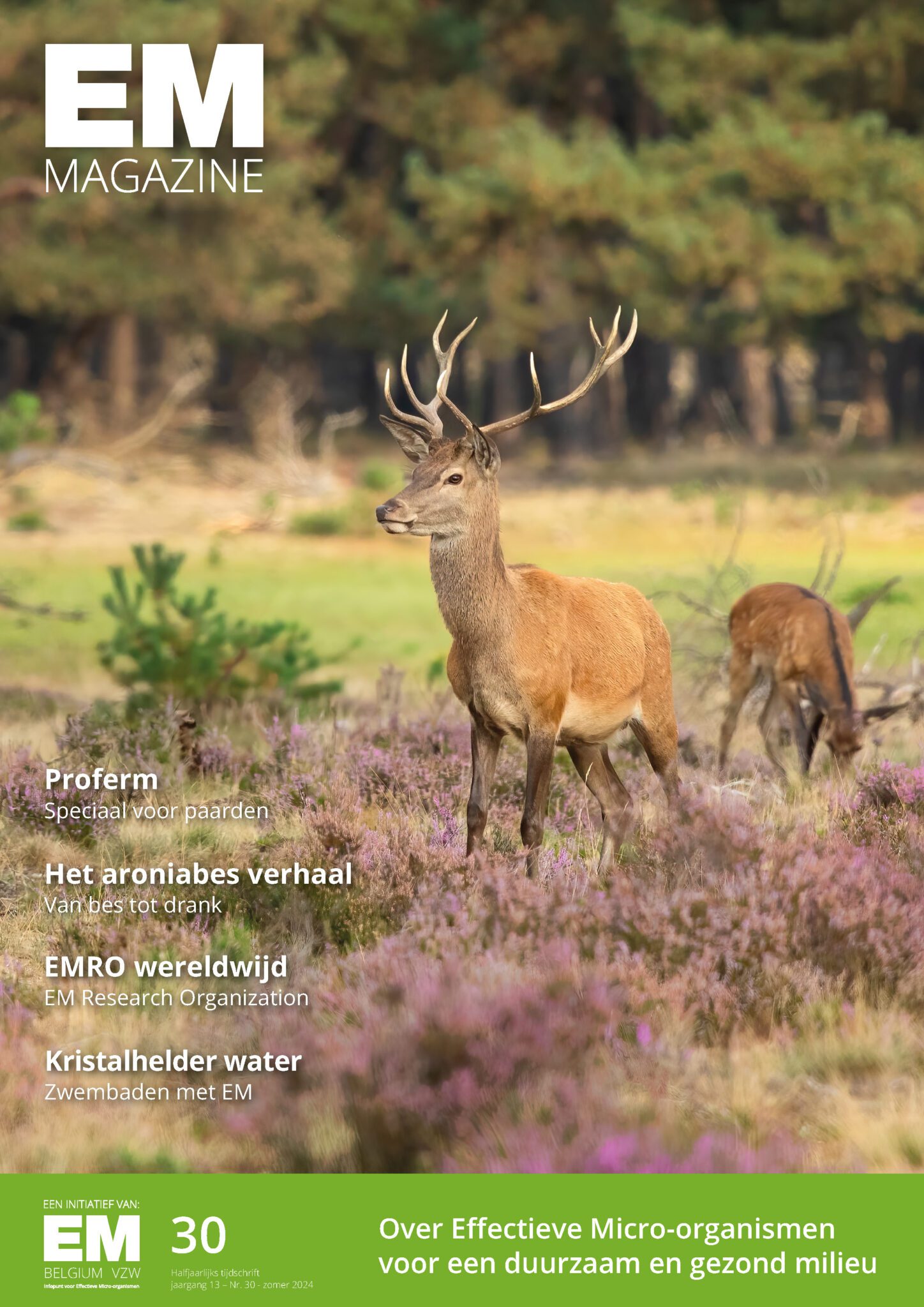 Home | EM-Belgium.org